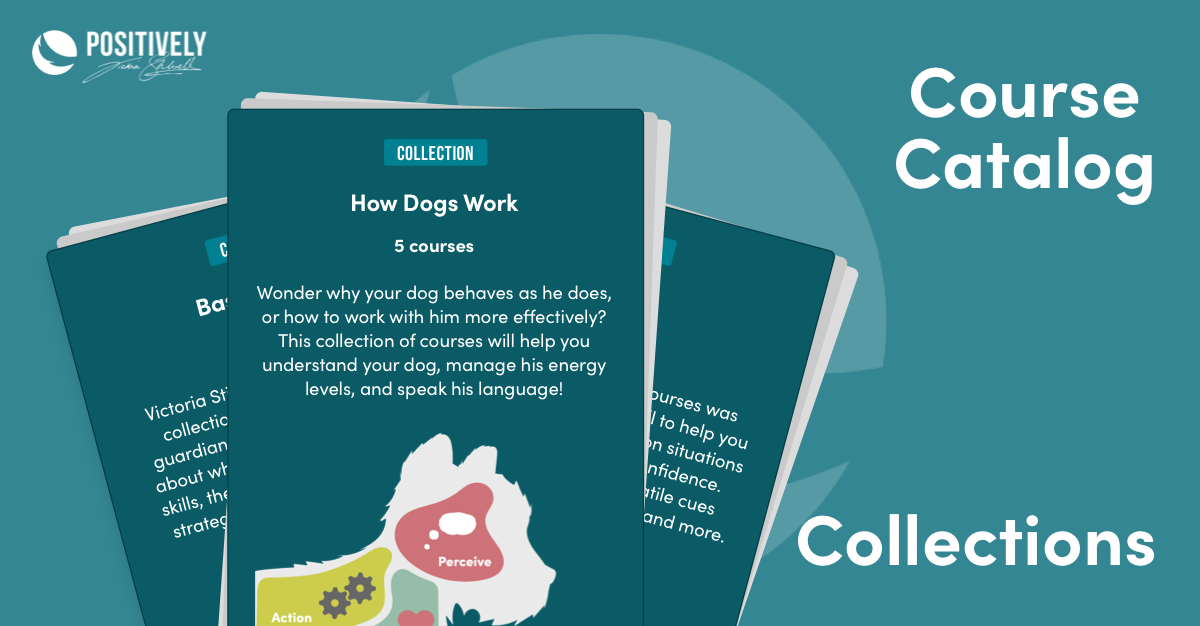 Course Catalog: Collections | Positively.com