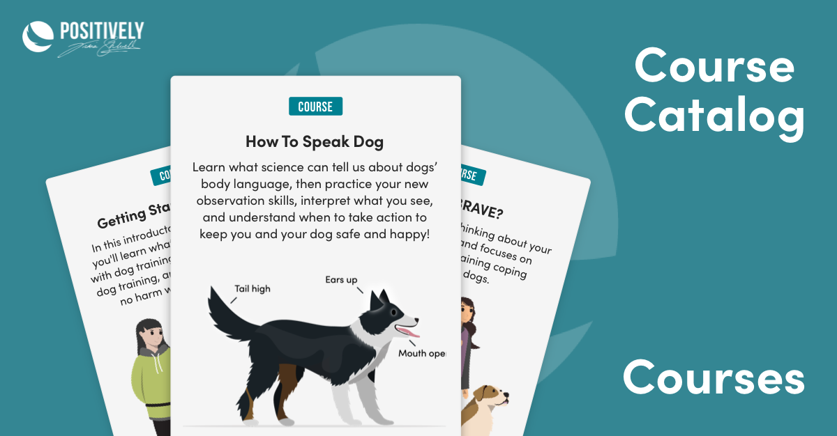 Course Catalog: Courses | Positively.com